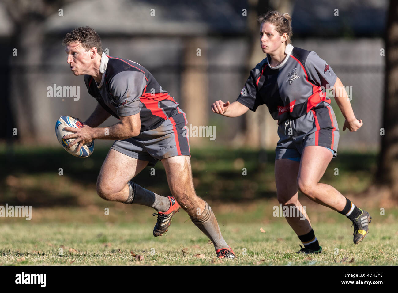 Rugby action with Shasta vs. Reno in Redding, California Stock Photo ...