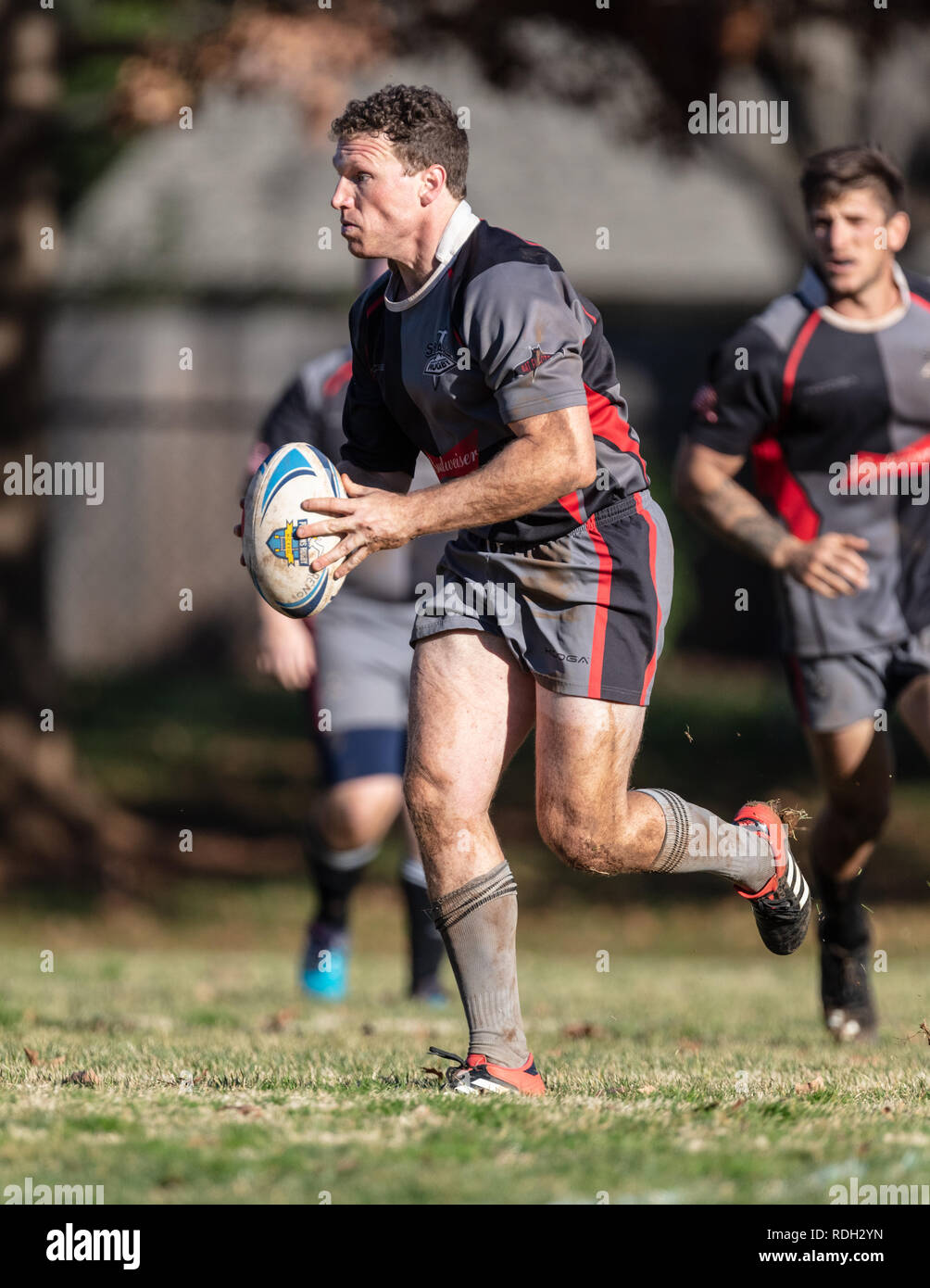 Rugby action with Shasta vs. Reno in Redding, California Stock Photo ...