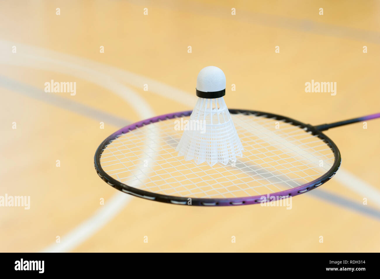 shuttlecock and the badminton racket. In sport hall background Stock ...
