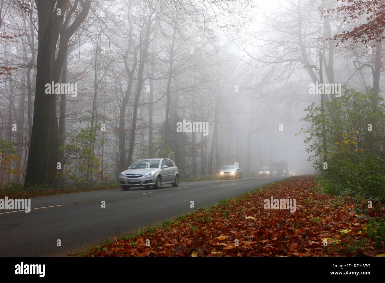 Highway in dense fog, autumn, visibility below 100 metres, Essen, North ...
