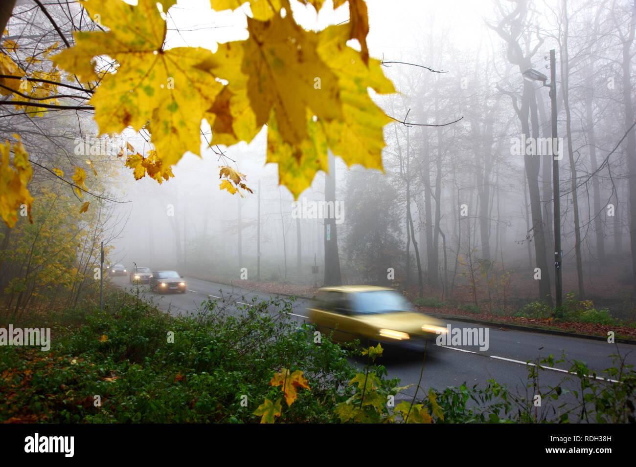 Highway in dense fog, autumn, visibility below 100 metres, Essen, North ...