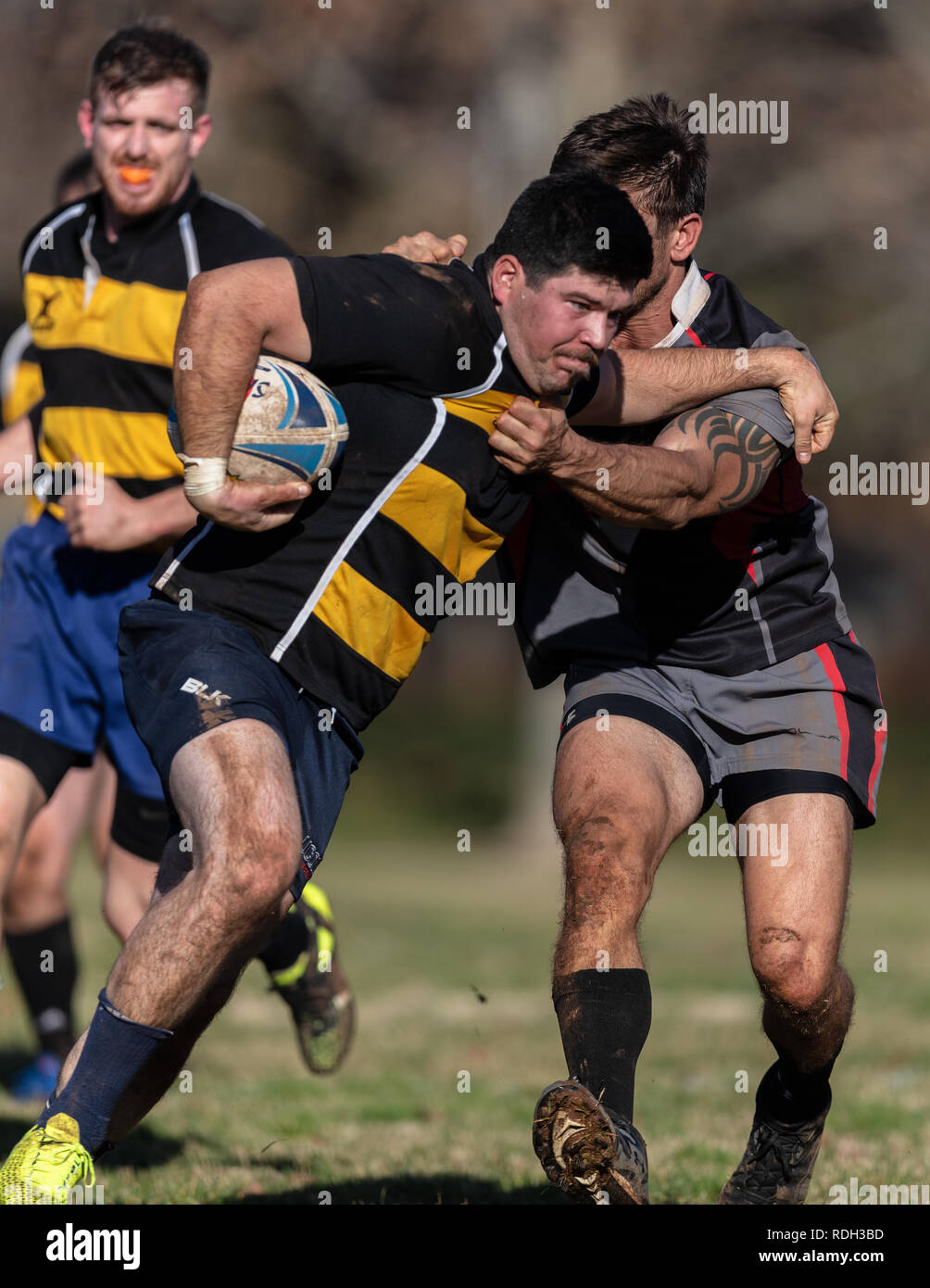 Rugby action with Shasta vs. Reno in Redding, California Stock Photo ...