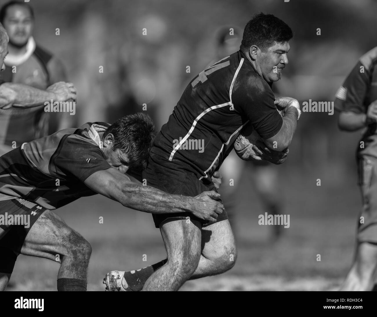 Rugby action with Shasta vs. Reno in Redding, California Stock Photo ...