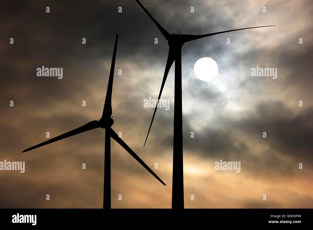 Wind turbines on a dump hill in Scholven, Gelsenkirchen, North Rhine ...
