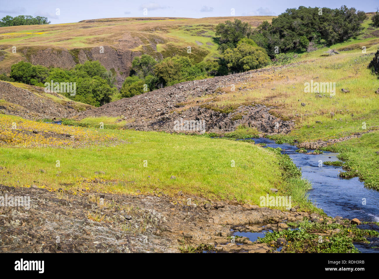 Seasonal creek running on the verdant plain of North Table Mountain ...