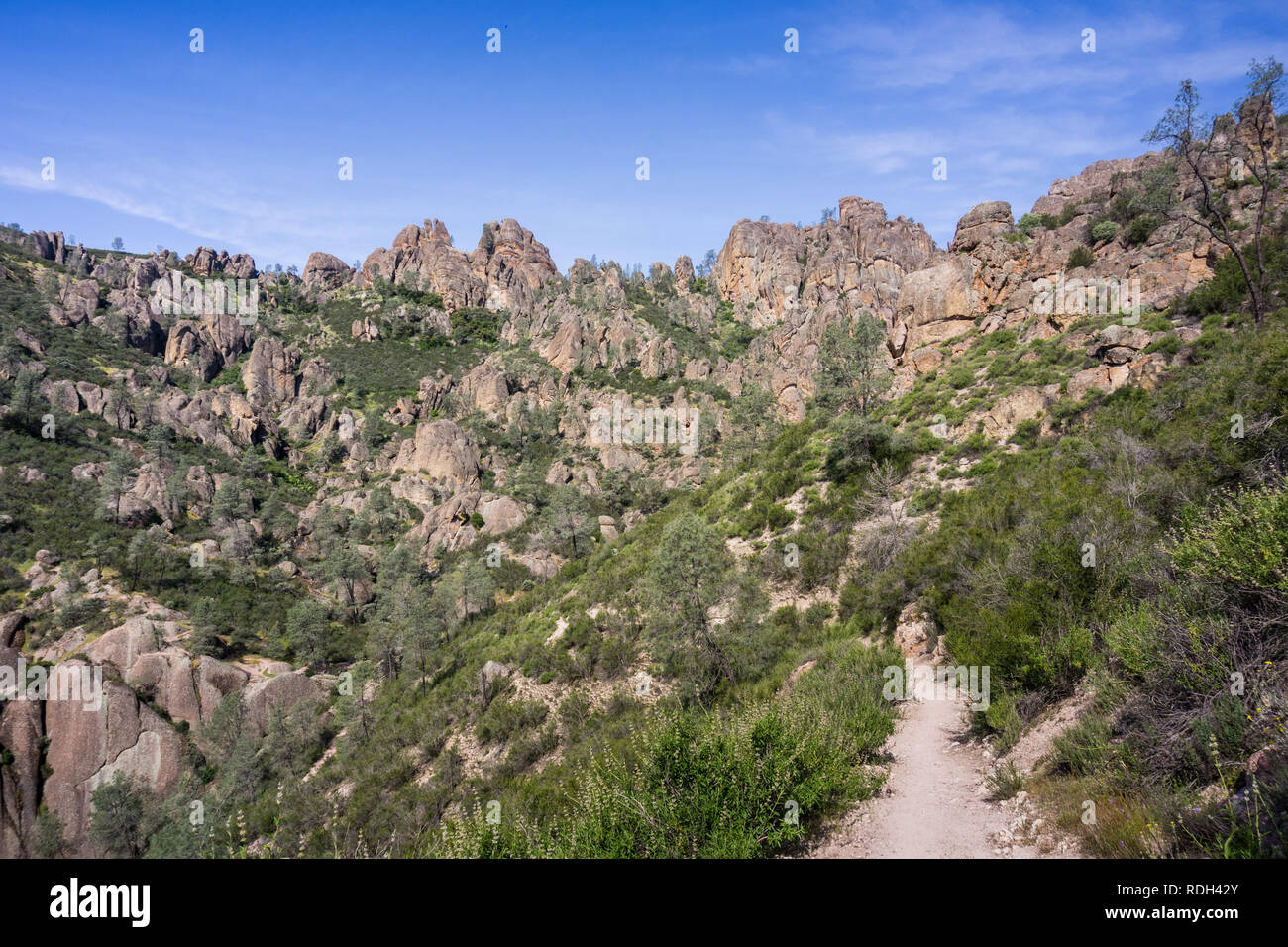 Hiking trail in Pinnacles National Park, California Stock Photo - Alamy