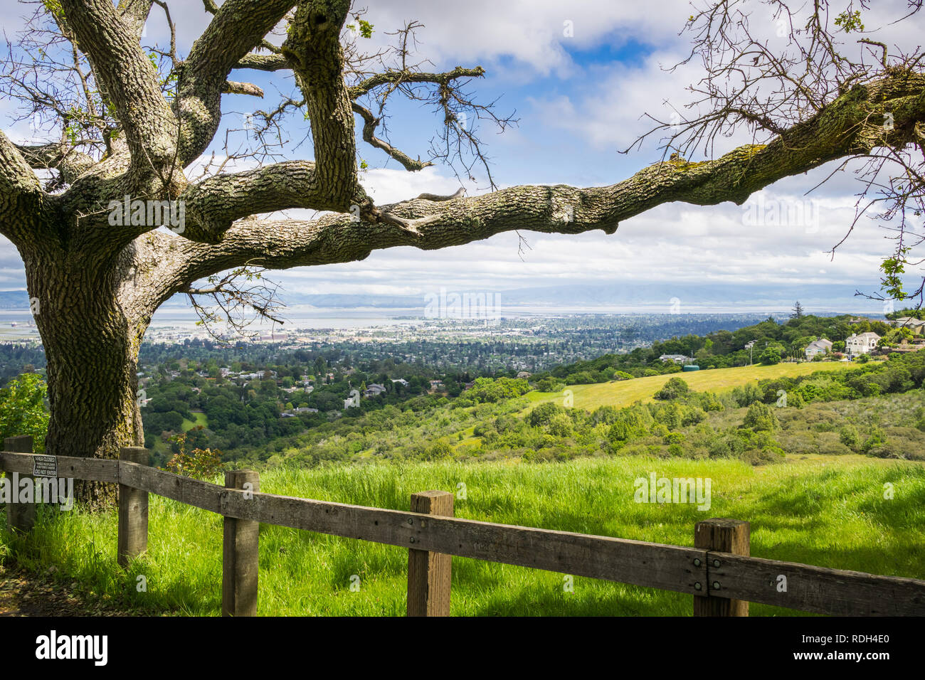 Redwood city skyline hi-res stock photography and images - Alamy