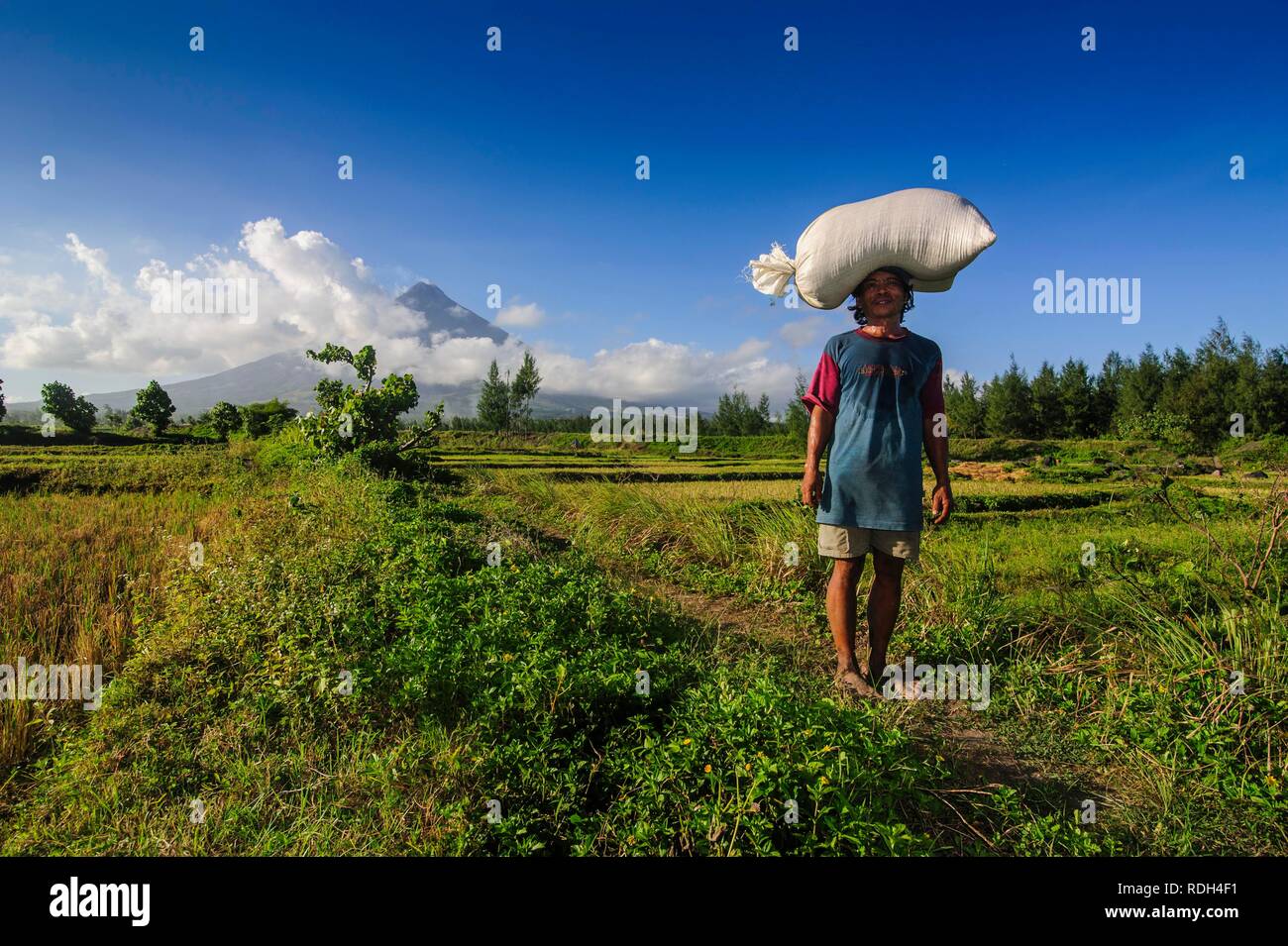 Man with bag of rice on his head before volcano Mayon, Legazpi ...