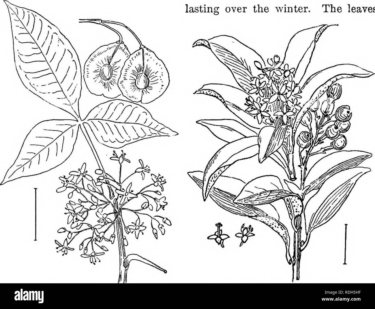 84 feet tall hi-res stock photography and images - Alamy