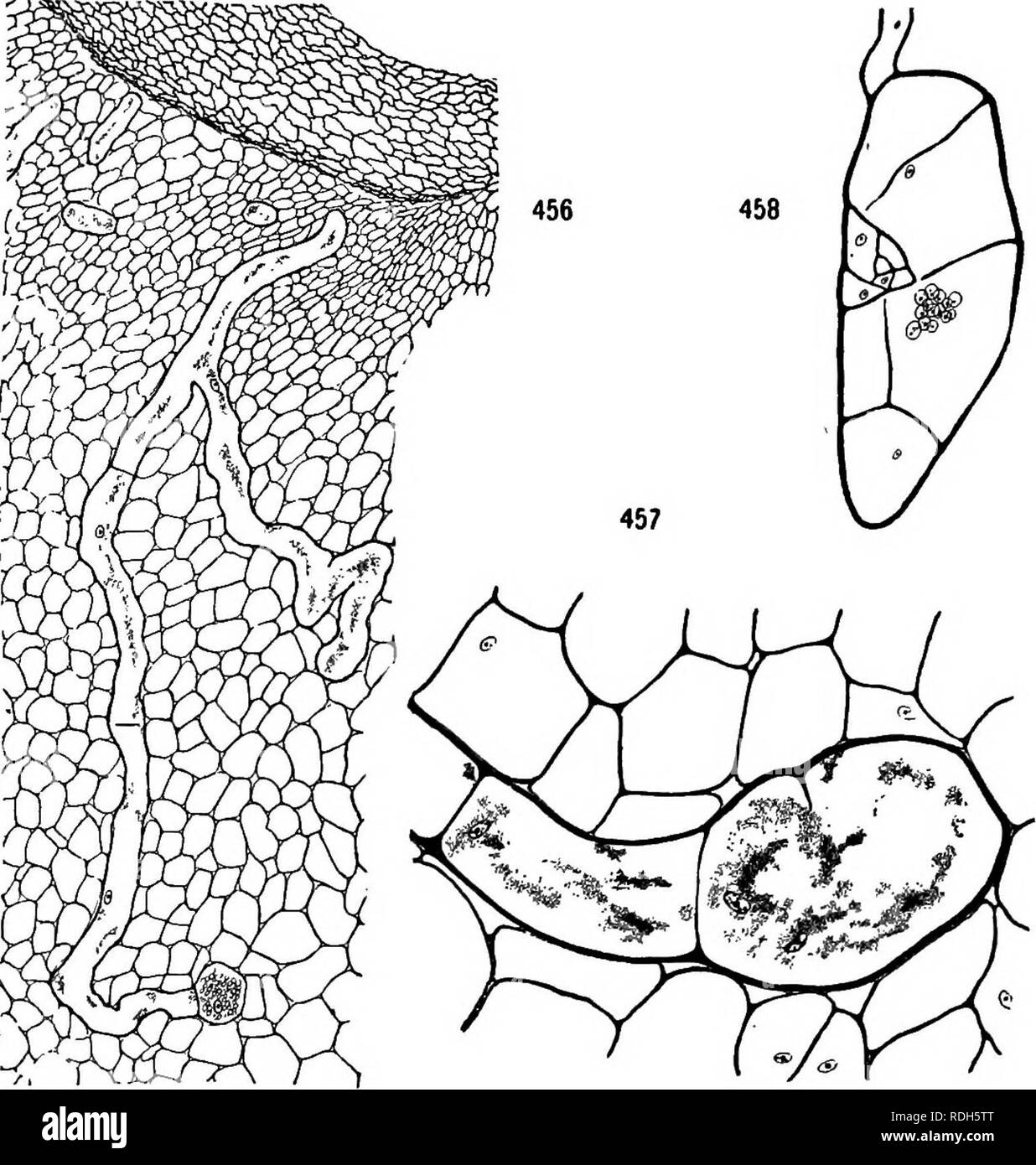 Porti are Black and White Stock Photos & Images - Alamy