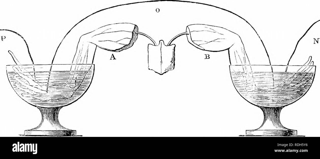 Negative g force hi-res stock photography and images - Alamy