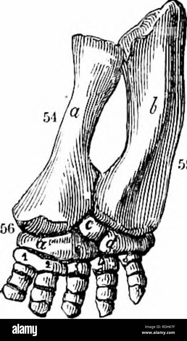 Cylindrical shaft Black and White Stock Photos & Images - Alamy