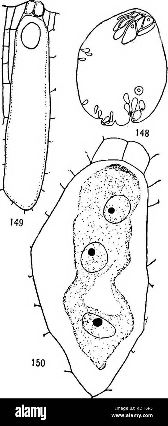 Cy cads hi-res stock photography and images - Alamy