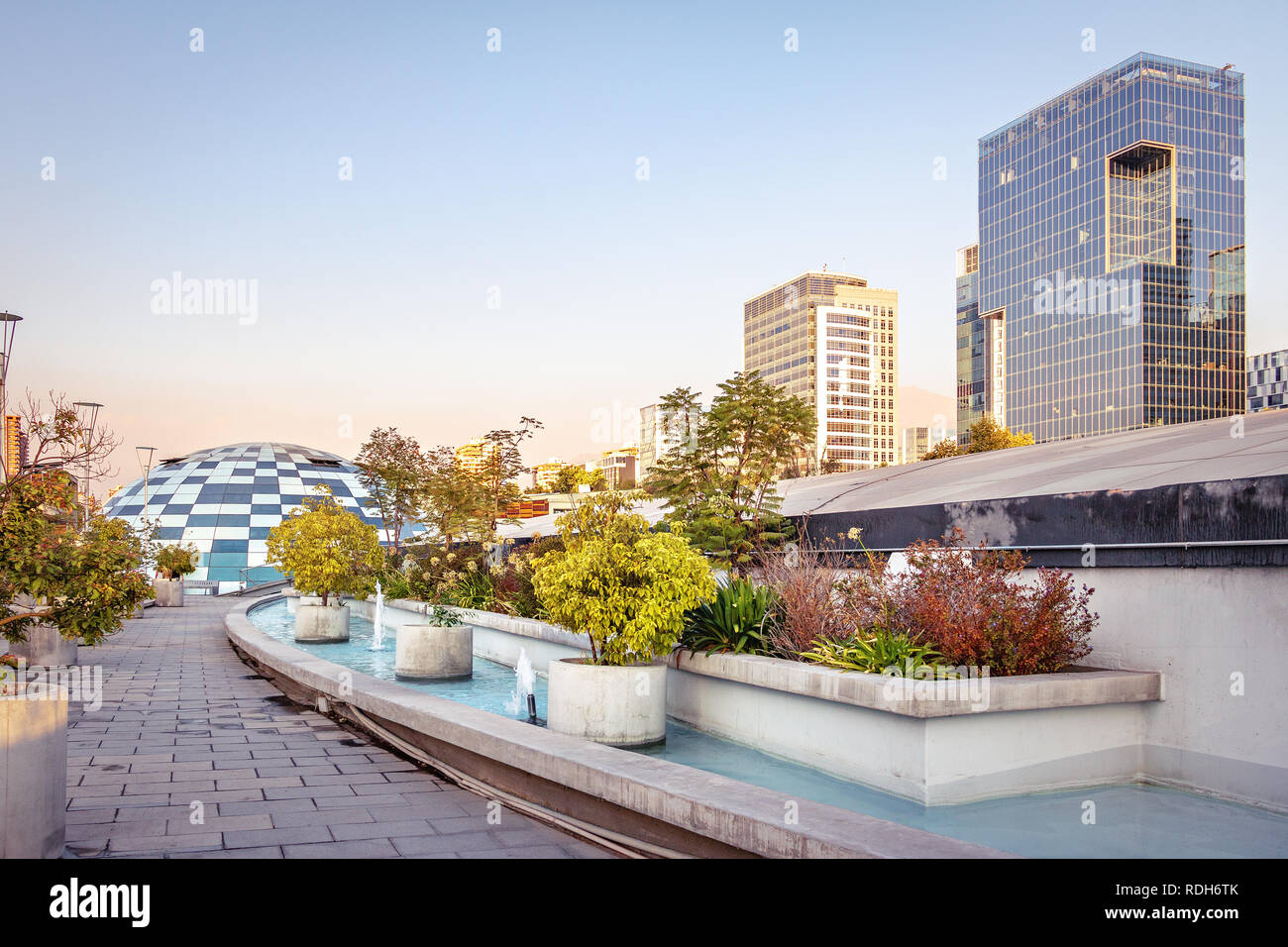 Vida parque araucano hi-res stock photography and images - Alamy