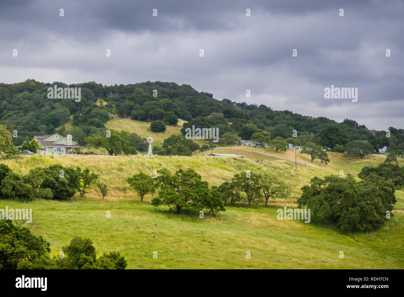 Oak trees gilroy california hi-res stock photography and images - Alamy