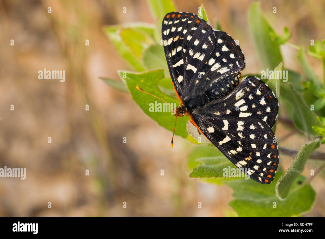 Variable area hi-res stock photography and images - Alamy