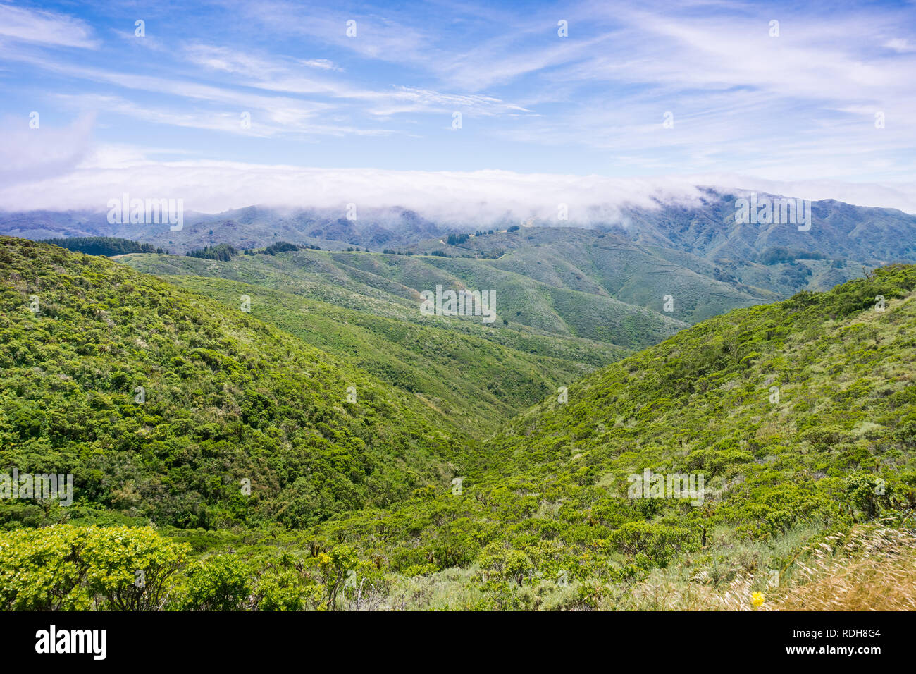 Fog covering the hills and valleys of Montara mountain (McNee Ranch ...