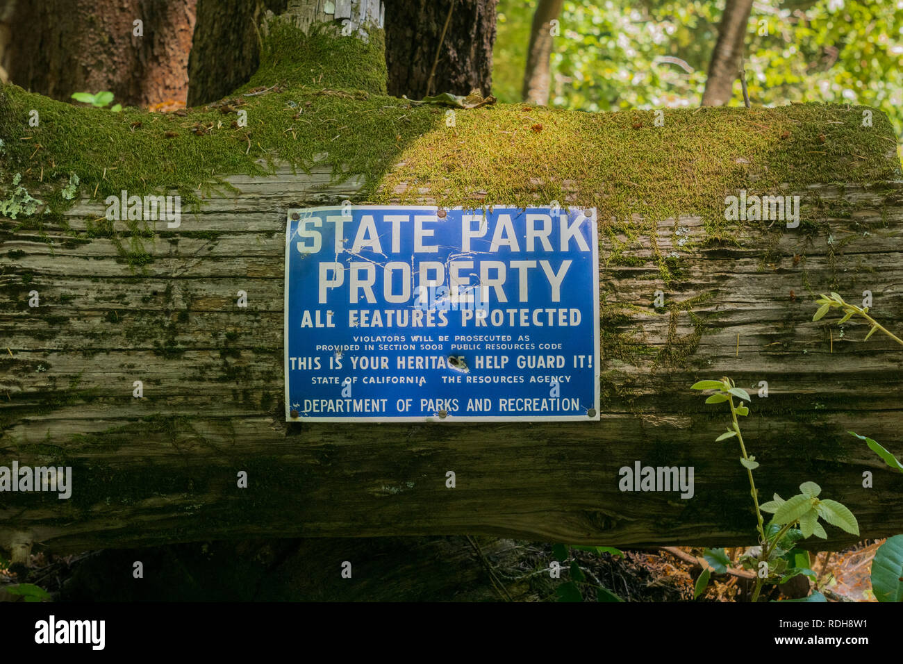 State Park Property sign in a redwood forest, California Stock Photo ...