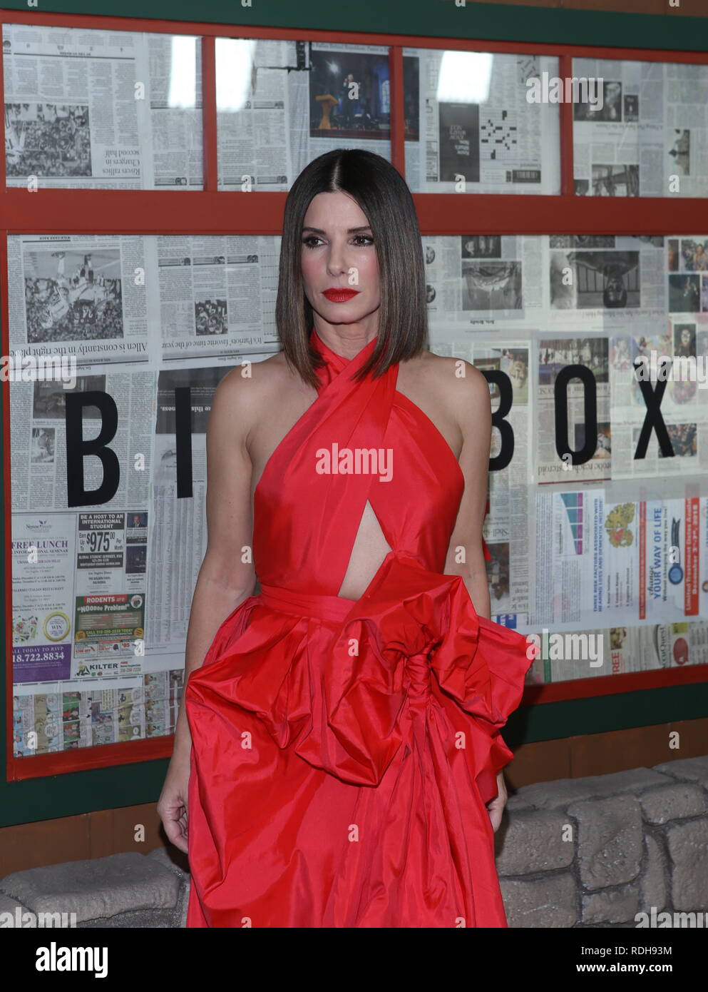 New York special screening of 'Bird Box' at Alice Tully Hall Featuring ...