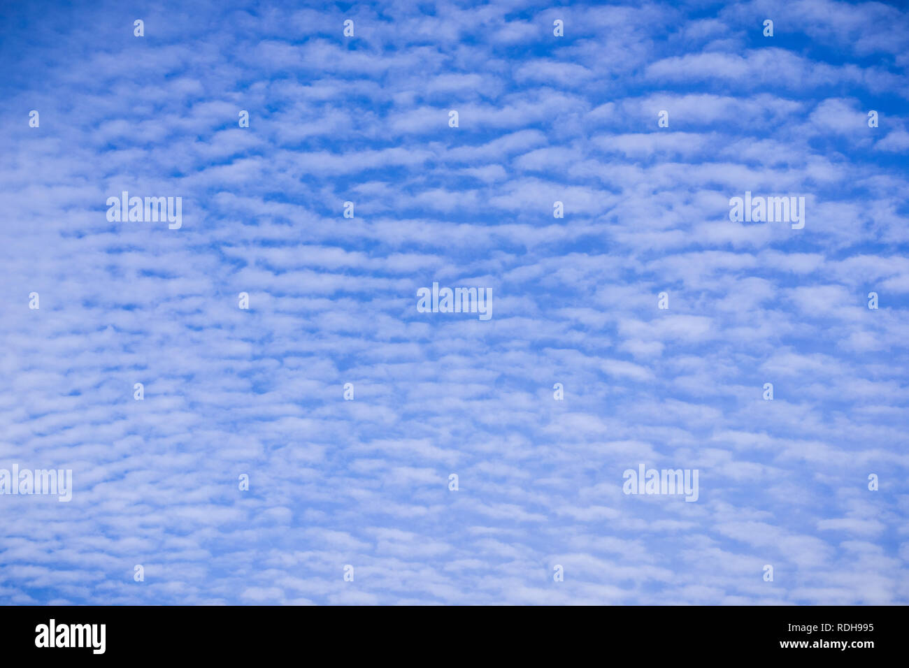Cirrocumulus clouds background Stock Photo - Alamy