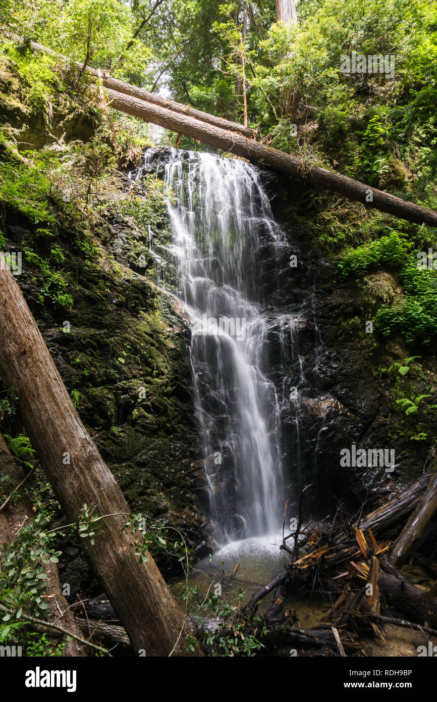 Waterfall in Big Basin State park, San Francisco bay area, California ...