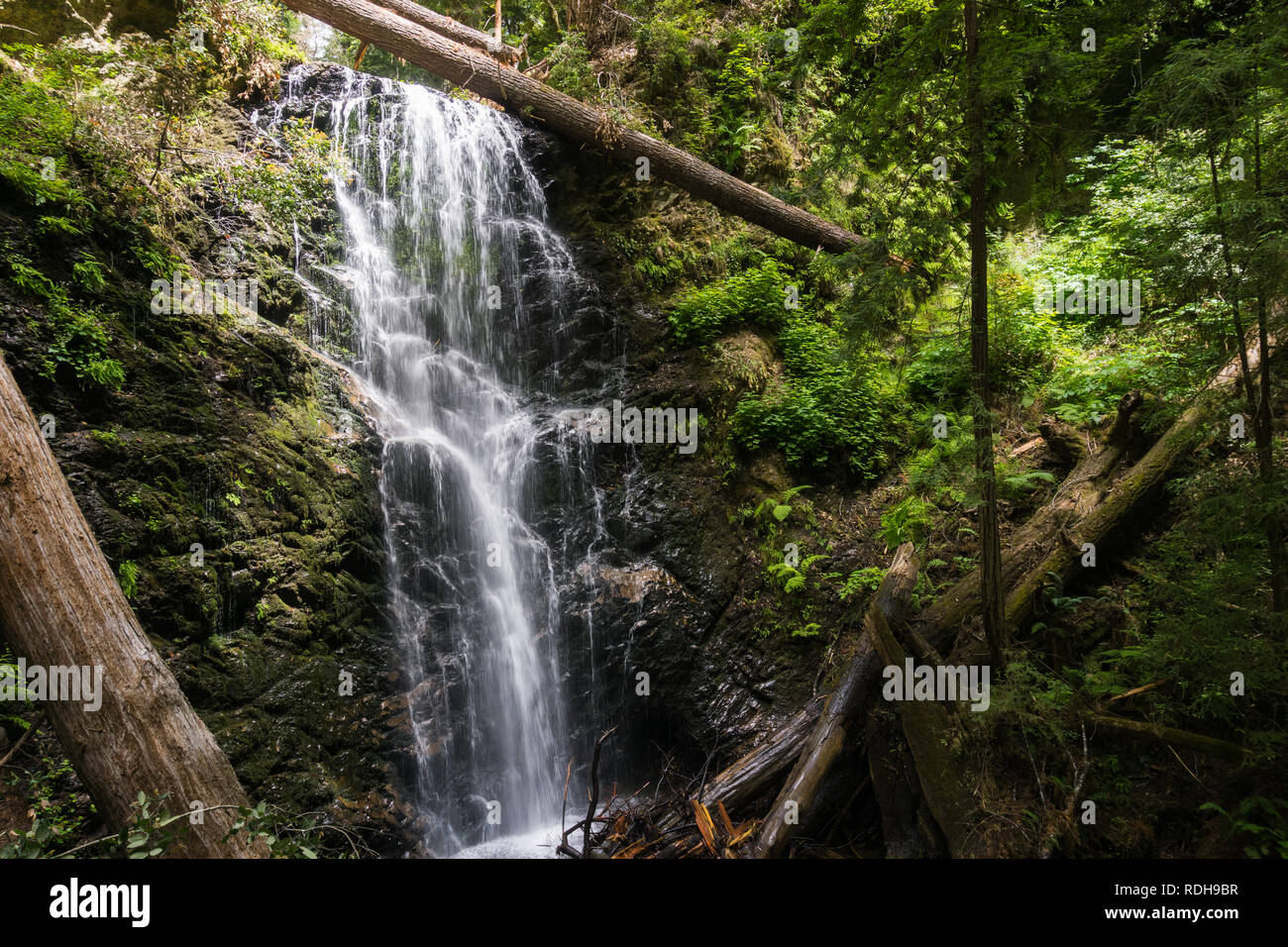 Waterfall in Big Basin State park, San Francisco bay area, California ...