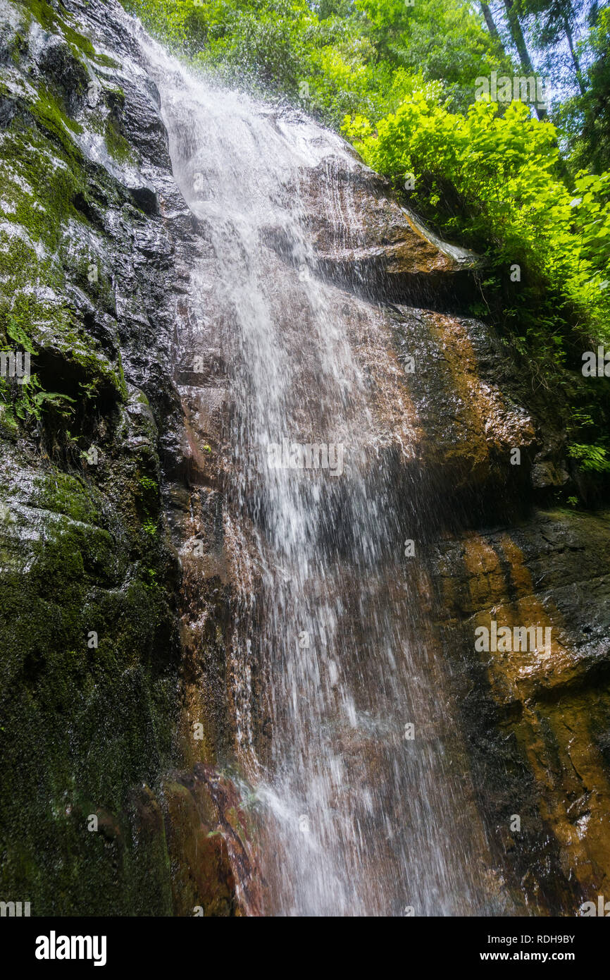 Waterfall in Big Basin State park, San Francisco bay area, California ...