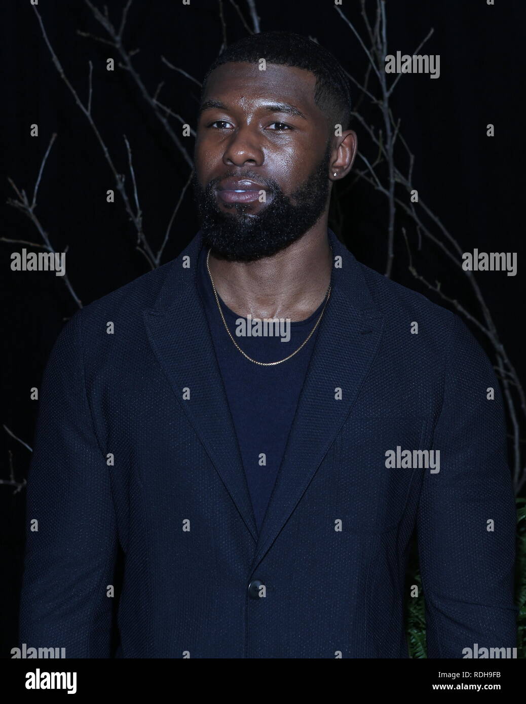 New York special screening of 'Bird Box' at Alice Tully Hall Featuring ...