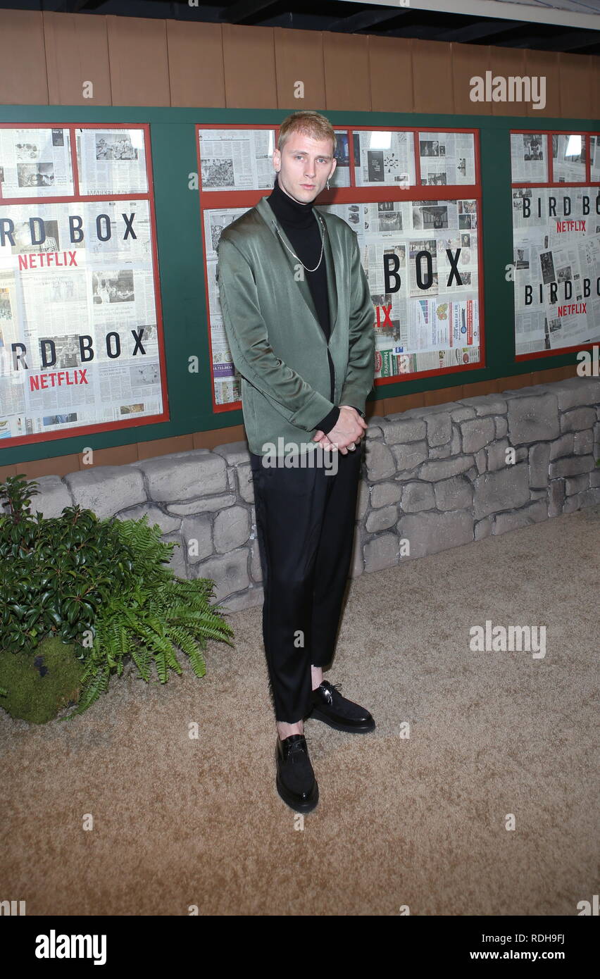 New York special screening of 'Bird Box' at Alice Tully Hall Featuring ...