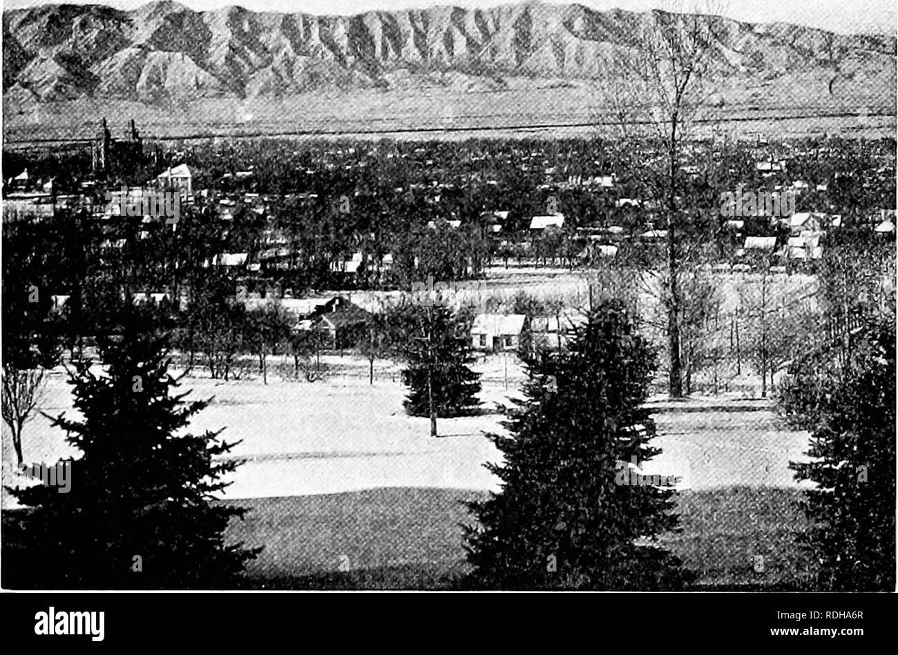 . Dry-farming; a system of agriculture for countries under a low ...