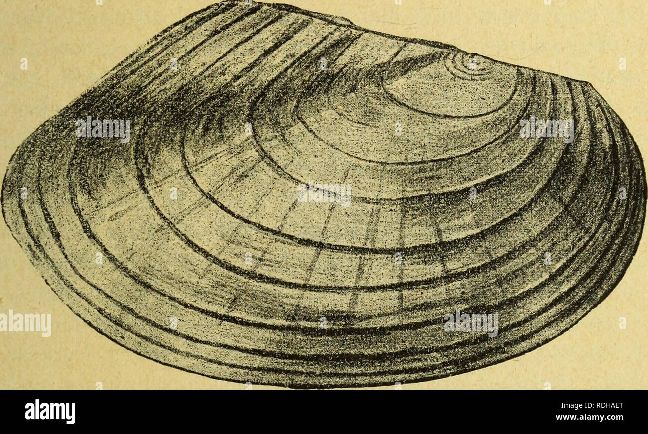 Treiden hi-res stock photography and images - Alamy