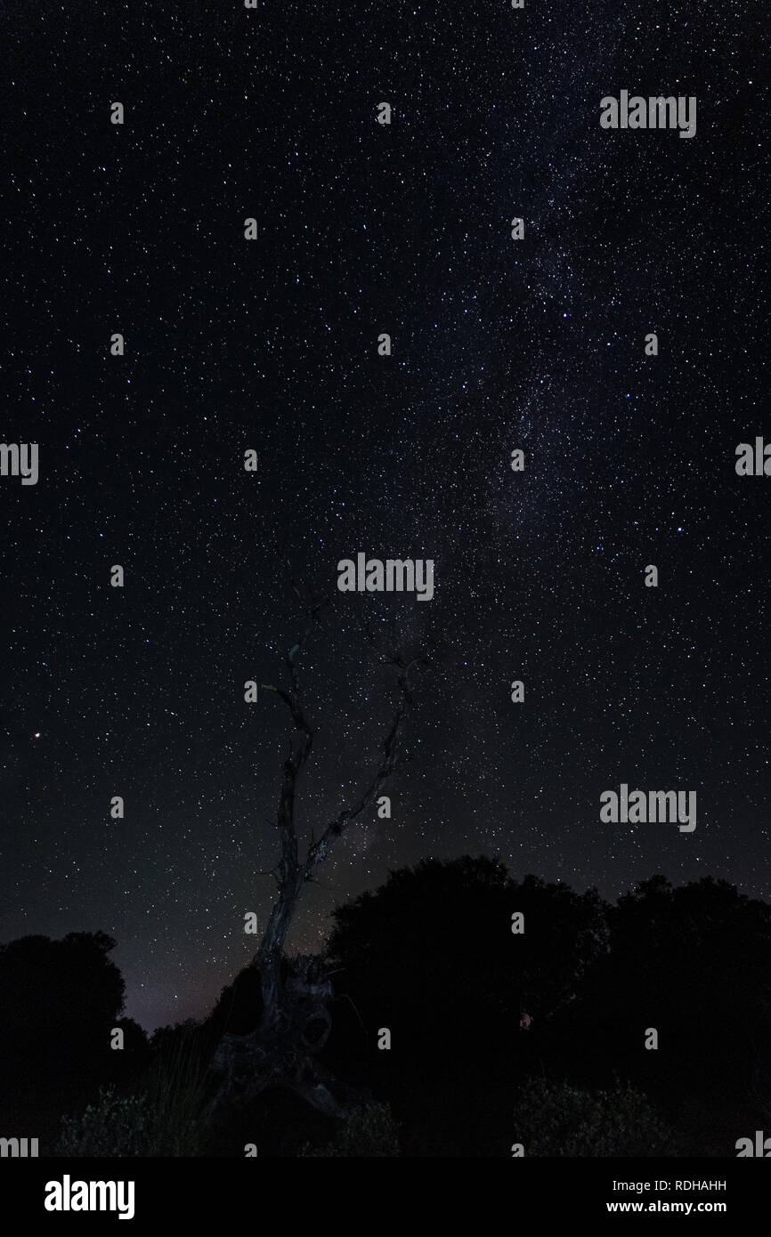 Night landscape with fallen tree Stock Photo - Alamy