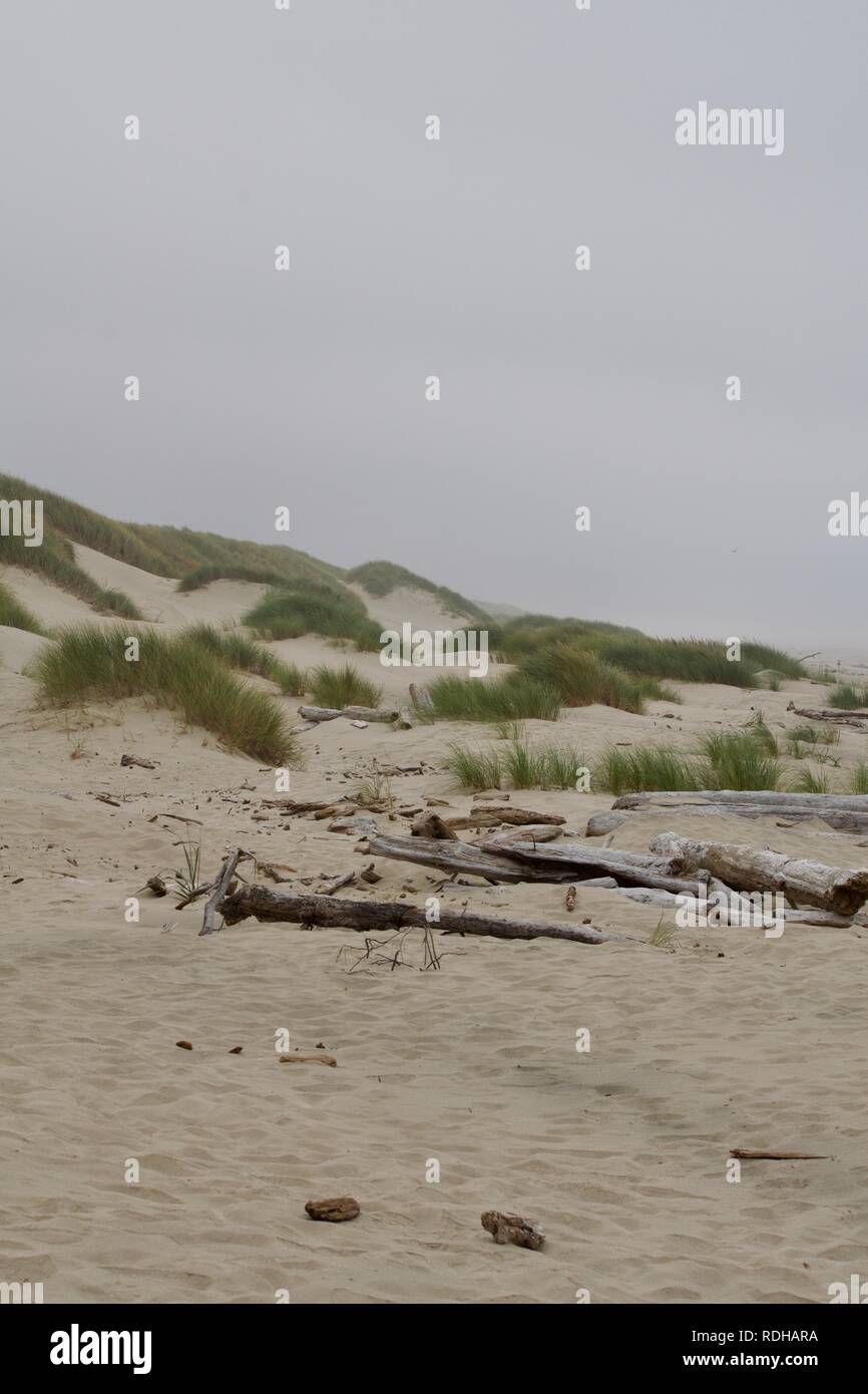 Highway 101 beach hi-res stock photography and images - Alamy