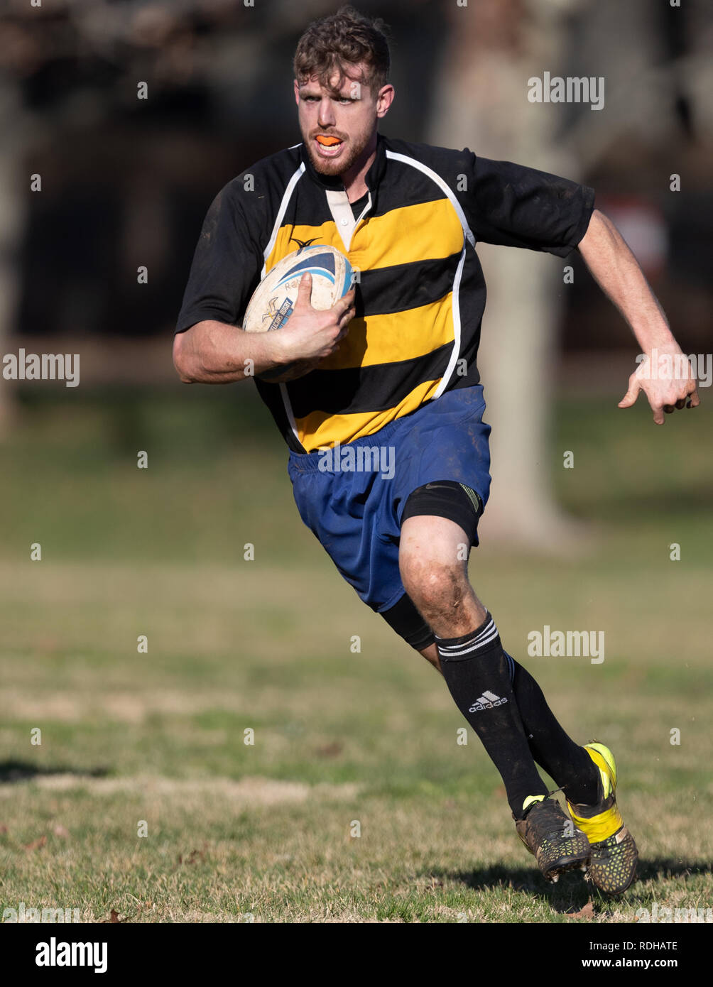 Rugby action with Shasta vs. Reno in Redding, California Stock Photo ...