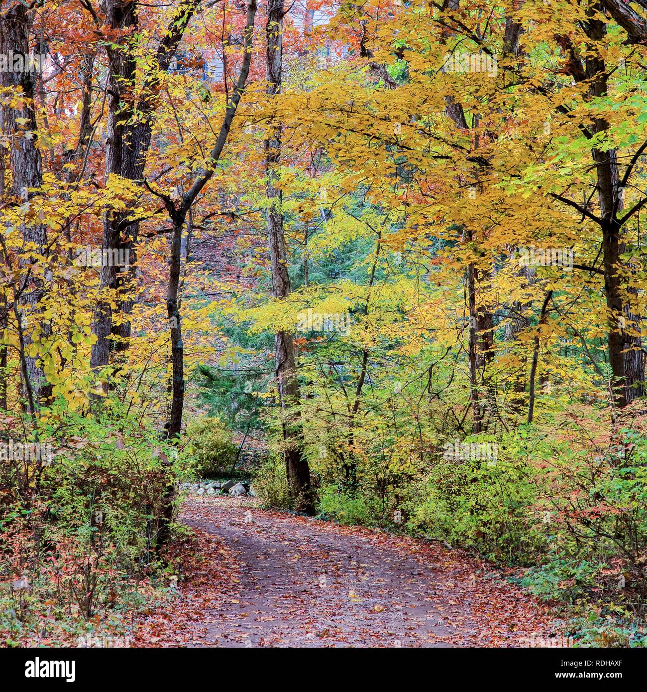 Midwest colors hi-res stock photography and images - Alamy