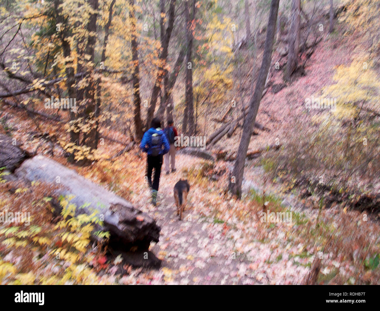 Hiking in Autumn Stock Photo - Alamy
