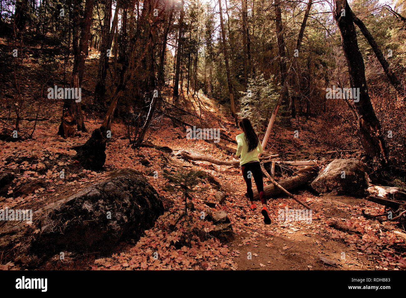 Runner in autumn hi-res stock photography and images - Alamy