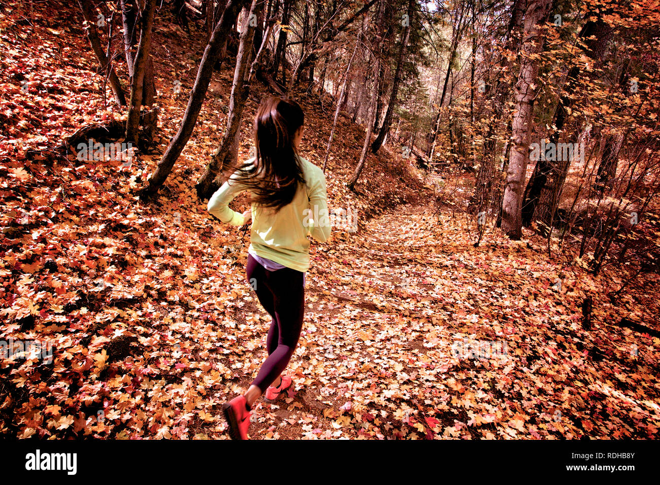 Runner in autumn hi-res stock photography and images - Alamy