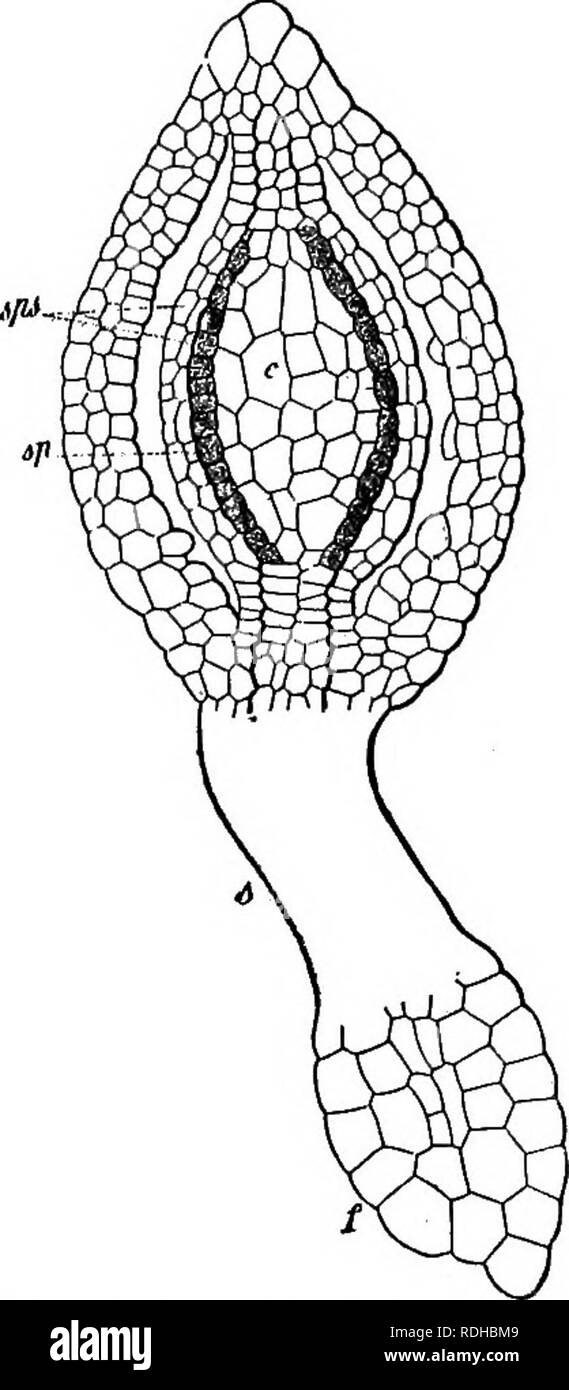 Bearing her teeth Black and White Stock Photos & Images - Alamy