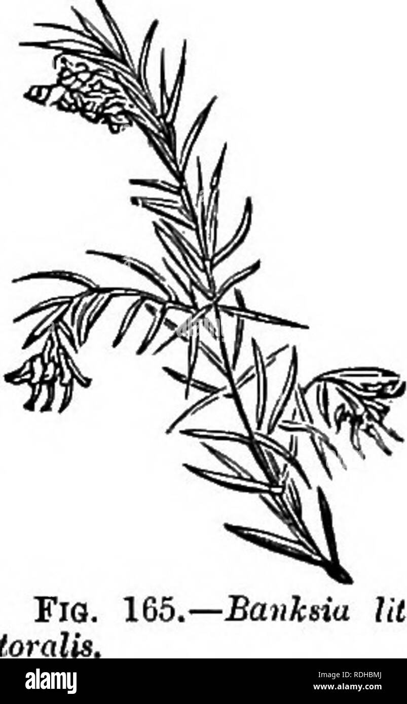 . Botany for academies and colleges: consisting of plant development ...