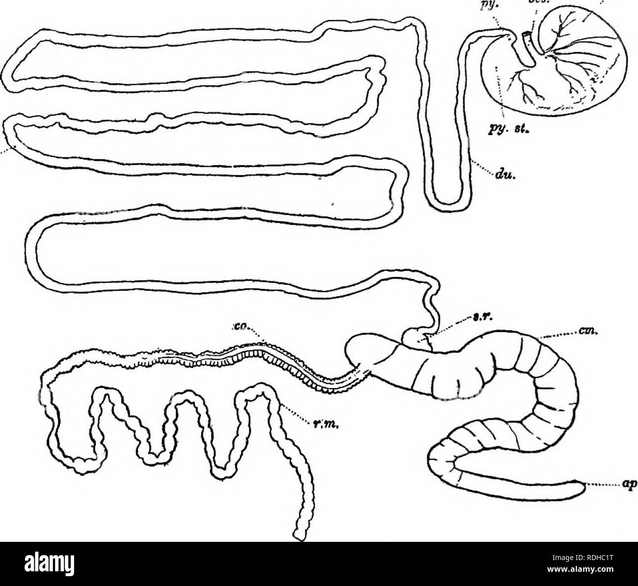 442 feet Cut Out Stock Images & Pictures - Alamy