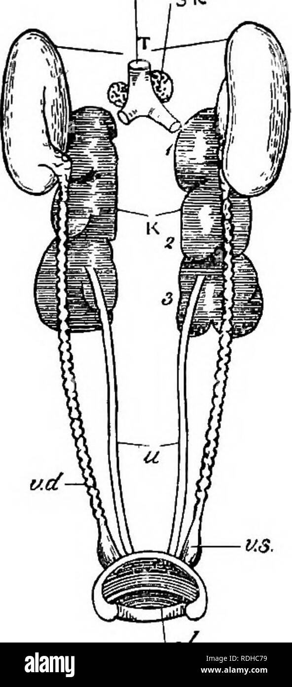 Raising funnel Black and White Stock Photos & Images - Alamy