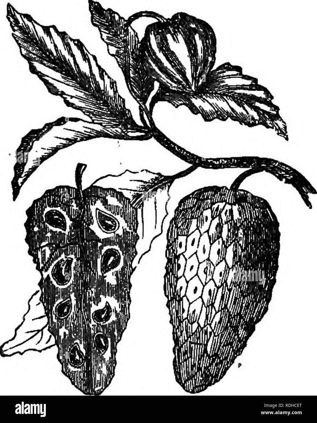 Torus shaped structure hi-res stock photography and images - Alamy