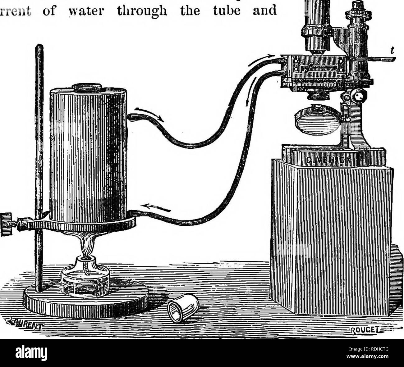 . Physiological botany; I. Outlines of the histology of phÃ¦nogamous ...
