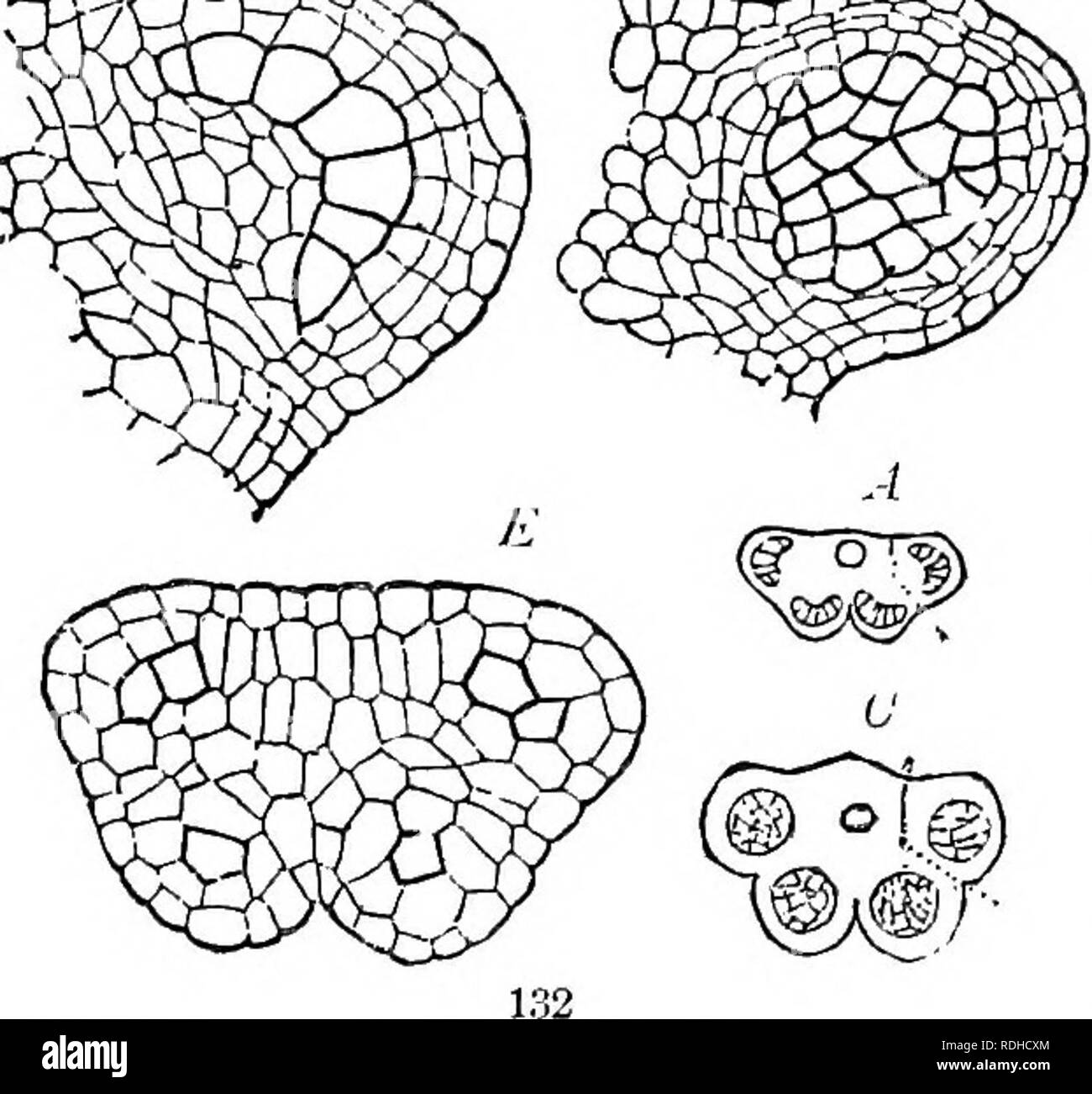 . Physiological botany; I. Outlines of the histology of phænogamous ...
