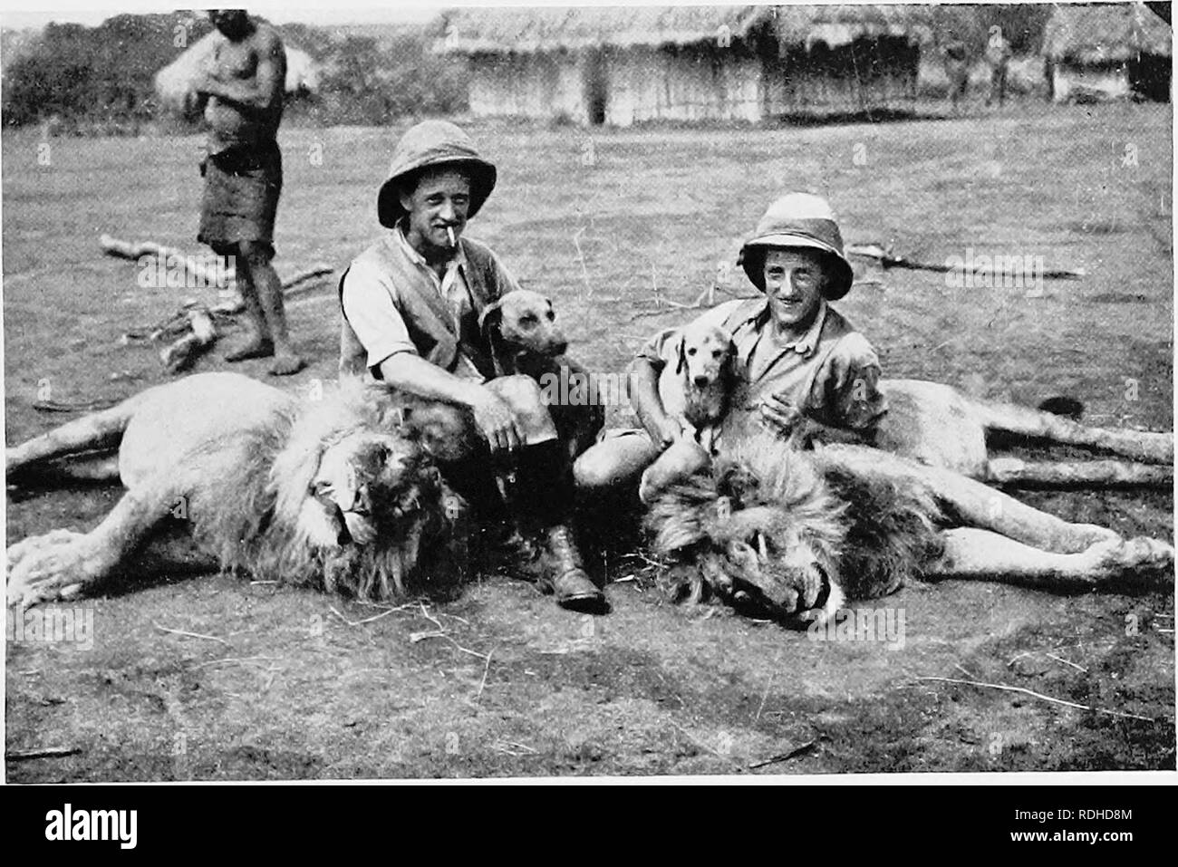 Pygmies congo killed hi-res stock photography and images - Alamy