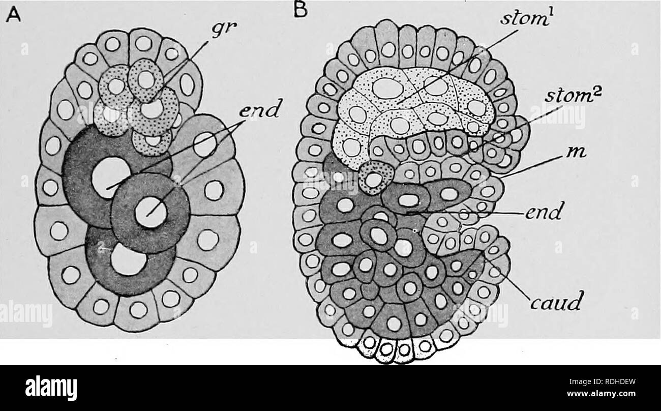 Concave funnel Black and White Stock Photos & Images - Alamy