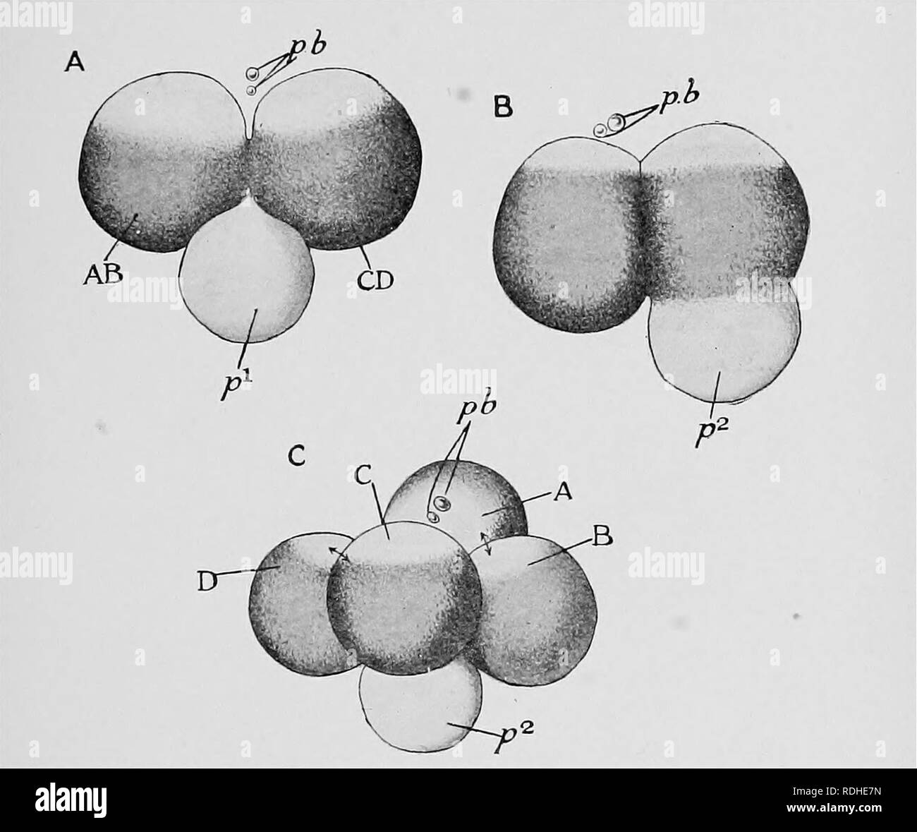 Ix th Black and White Stock Photos & Images - Alamy
