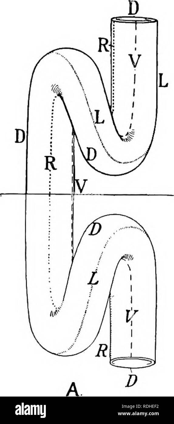 Concave side curves Black and White Stock Photos & Images - Alamy