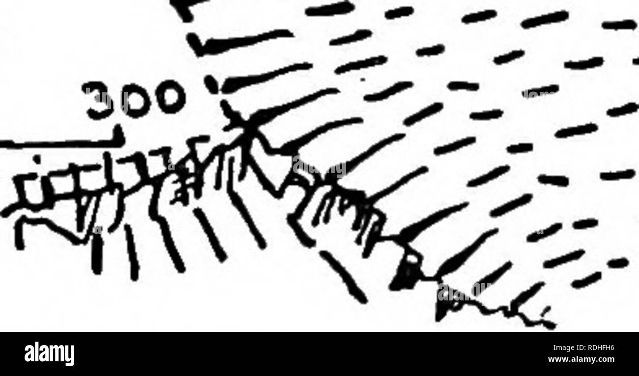 Devon level Black and White Stock Photos & Images - Alamy